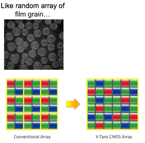 디카에서 ‘로우패스 필터’ 빠지는 까닭